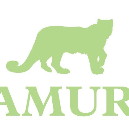 Equipment Financing | Amur | Flexible Financing for Your Business