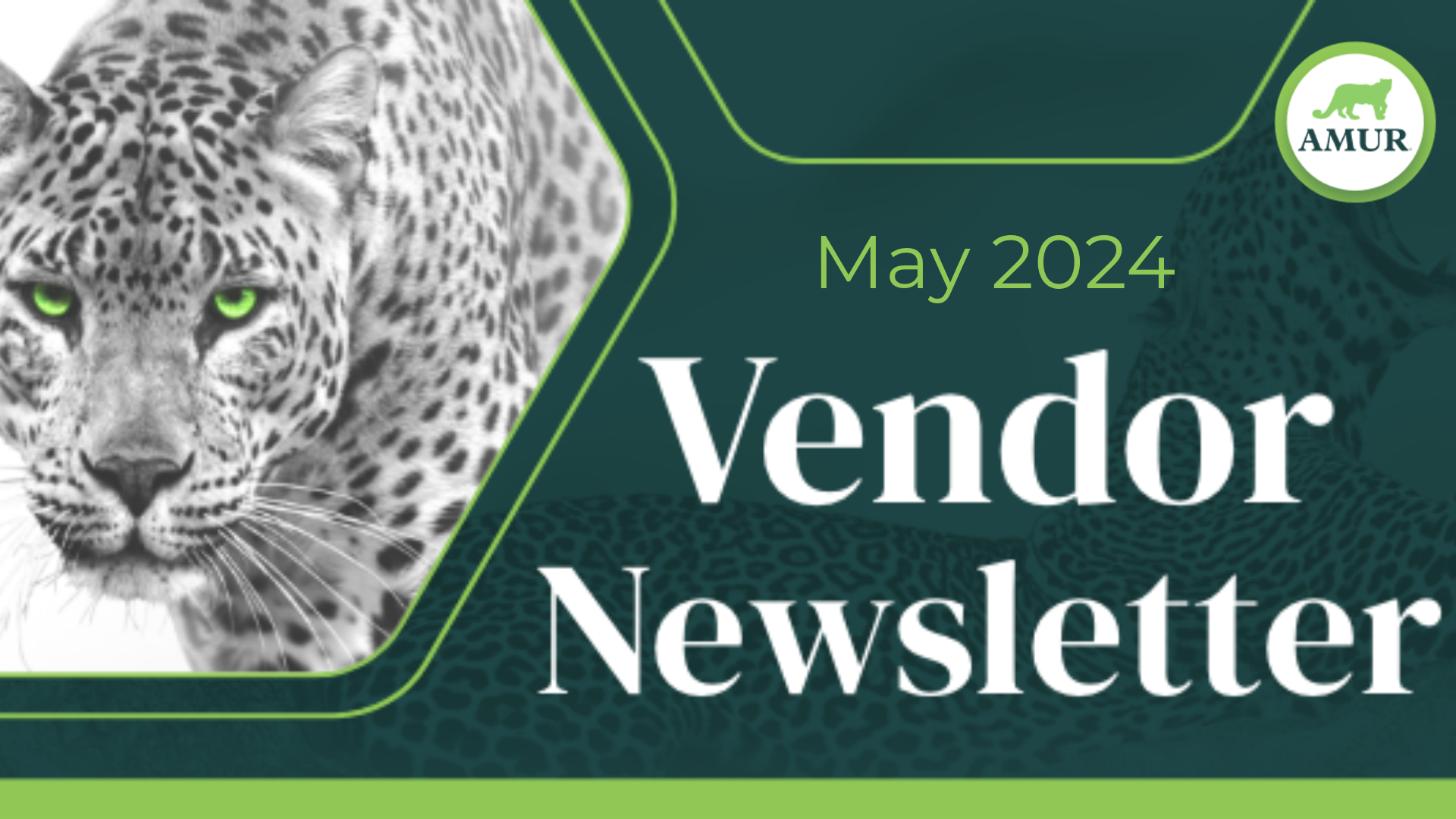 Amur Vendor Newsletter: Growing Our Sales Team for Your Business