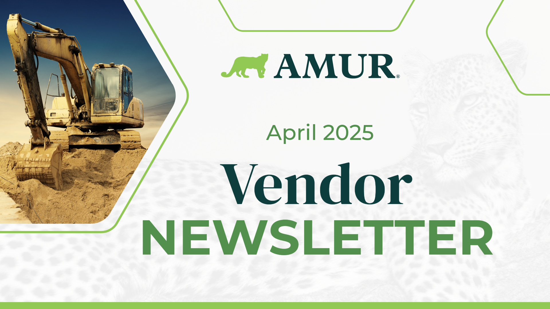 Amur Vendor Newsletter: Top Finance Company Recognition